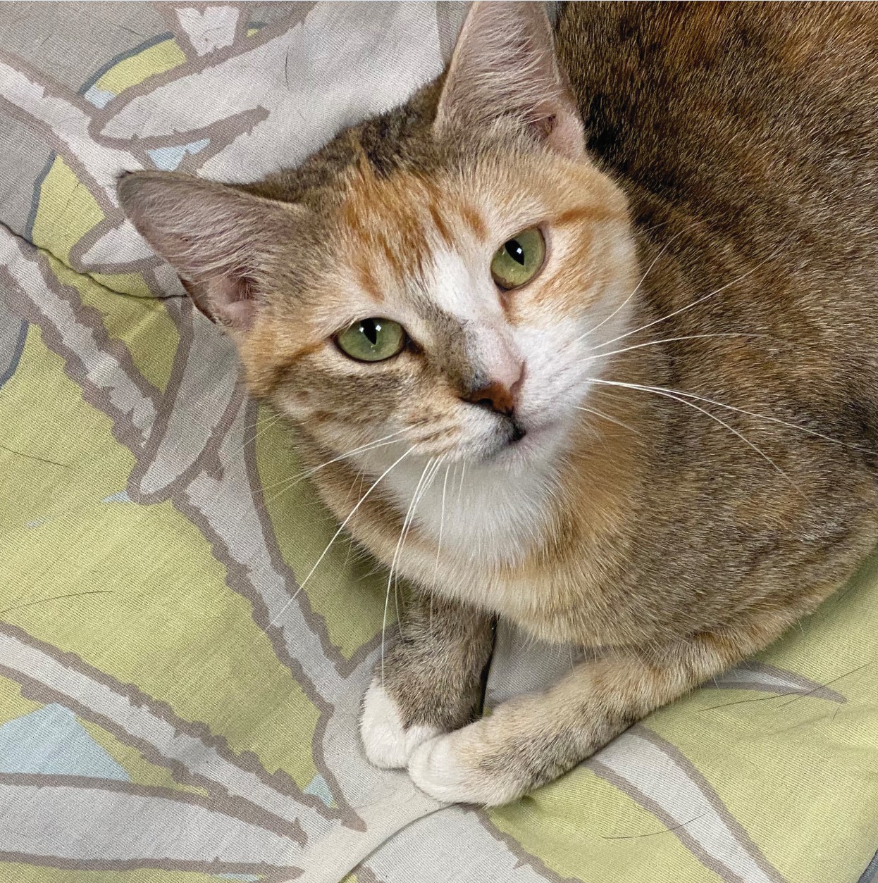 Shredding for a cause with AWA - The Sun Newspapers