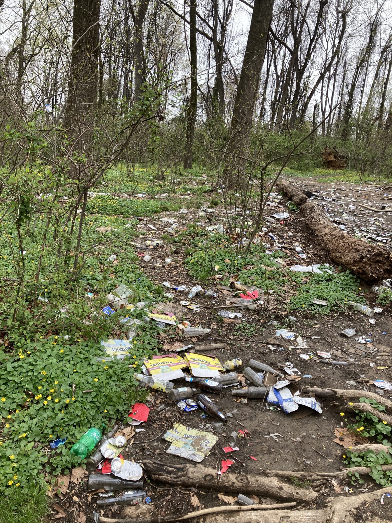 Cleaning up Pennypack Park - Northeast Times