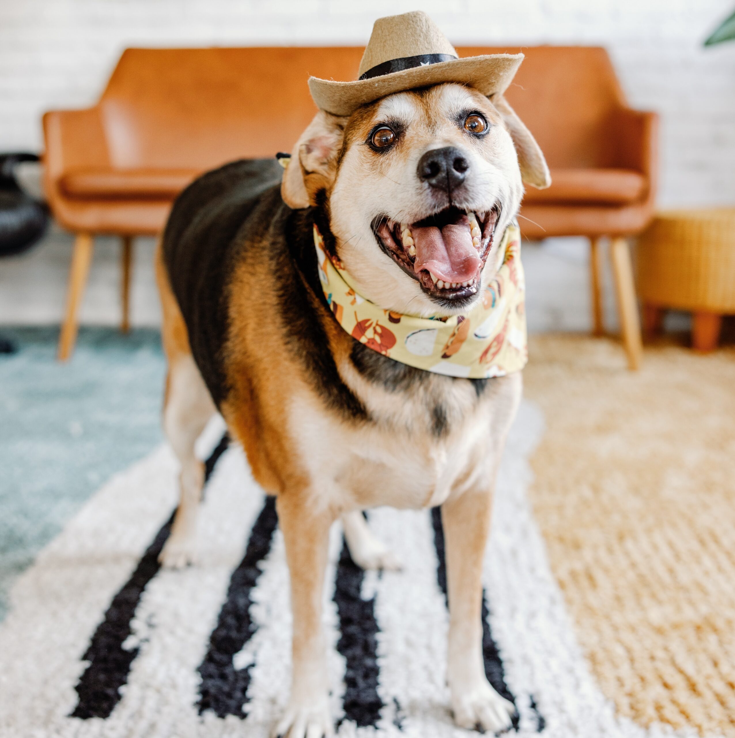 Cody is the perfect gentleman | PA Times Media